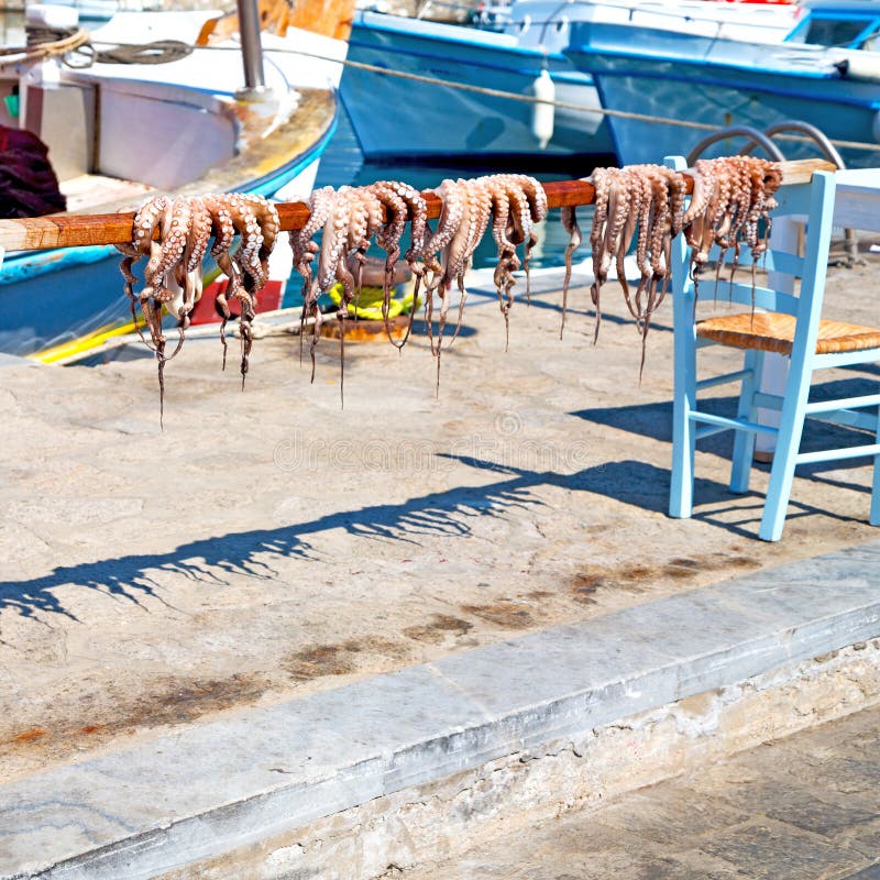 Octopus Drying in the Europe Greece Santorini and Light Stock Photo ...