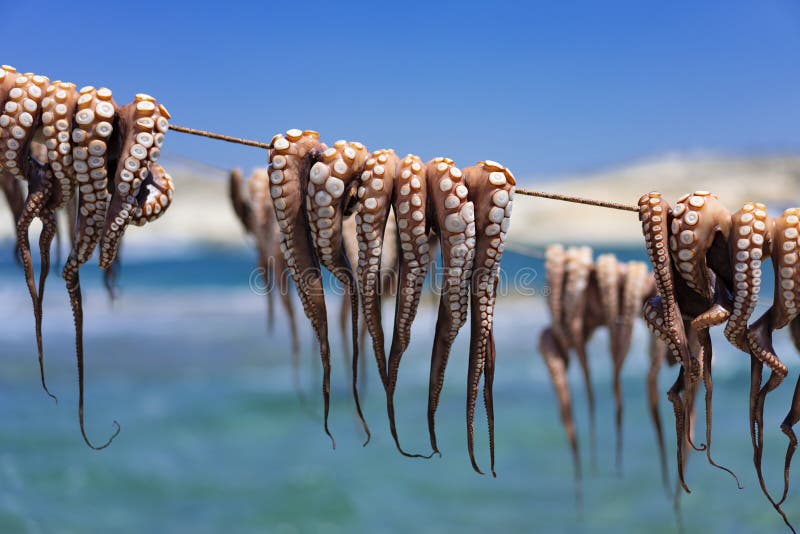Octopus Drying in Greek Islands Stock Photo - Image of greek, holidays ...