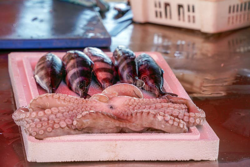 Octopus at the fish market stock image. Image of fishmarket - 262195005