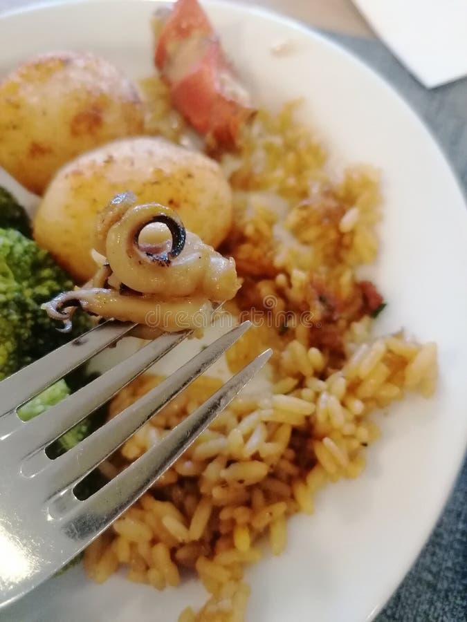 Octopus on a fork stock photo. Image of seafood, lunch - 293644062