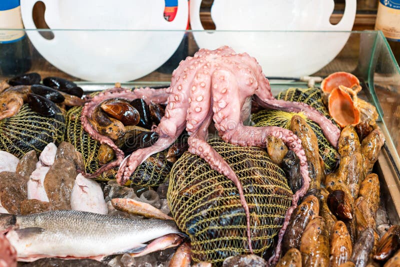 Octopus and Fresh Fish on Delicacy Market. Stock Photo - Image of ...