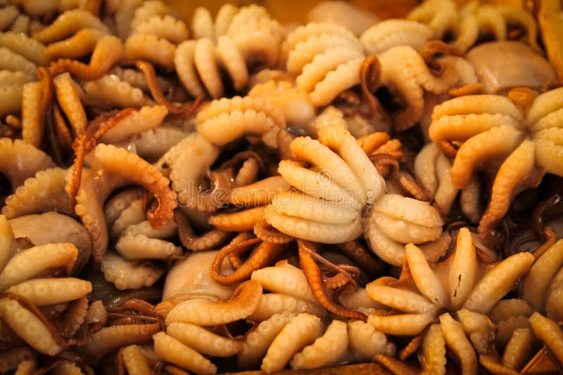 Octopus stock photo. Image of close, appetizer, market - 42635864