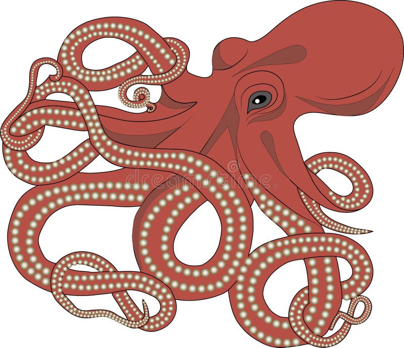 The Octopus Has Eight Tentacles Equipped Stock Vector - Illustration of ...