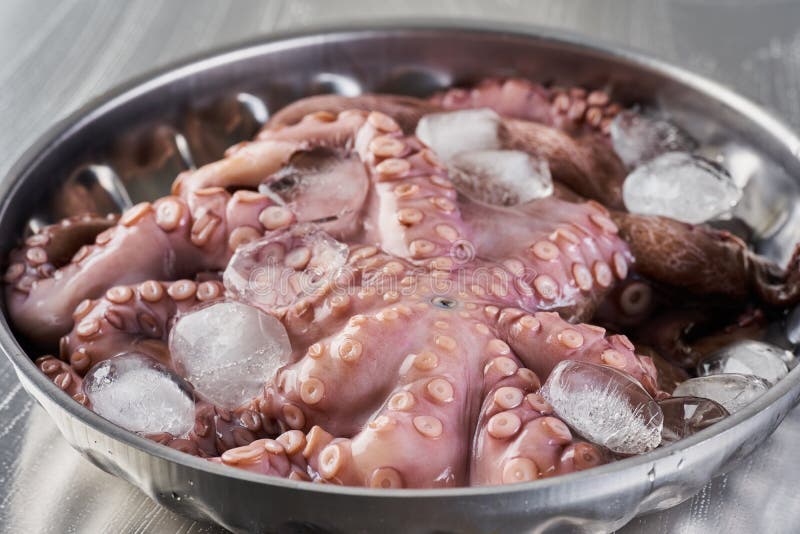 Octopus on ice in a bowl stock image. Image of luxury - 228937711