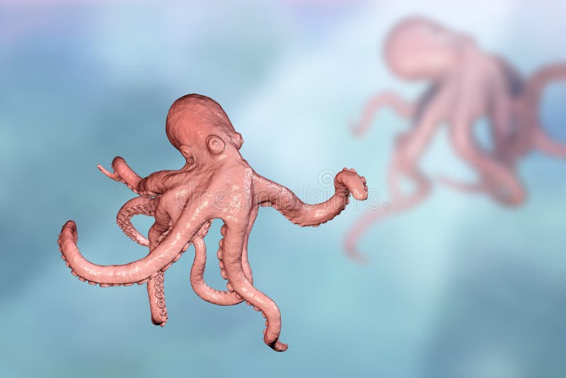 Deep sea octopod isolated stock illustration. Illustration of natural ...