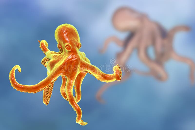 Octopus inside water stock illustration. Illustration of lake - 92314373