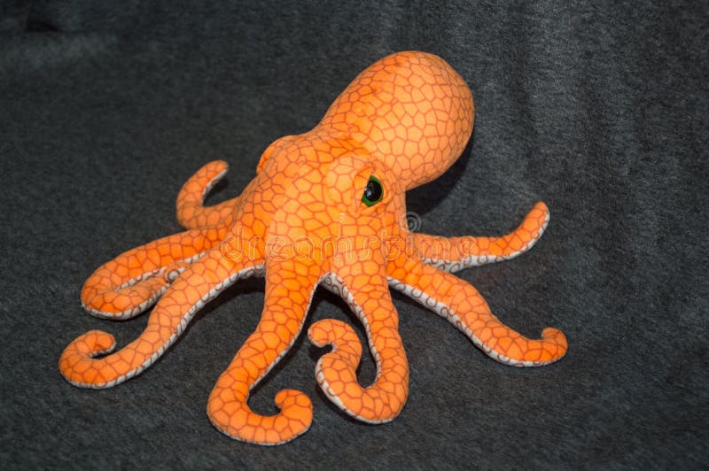 169 Cute Baby Octopus Photos - Free & Royalty-Free Stock Photos from ...