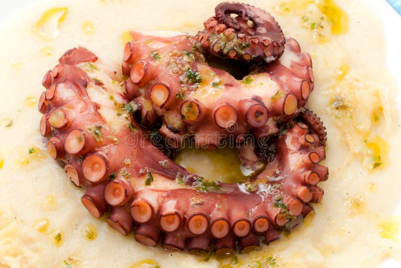 Octopus on potato mousse. stock image. Image of gourmet - 25416415