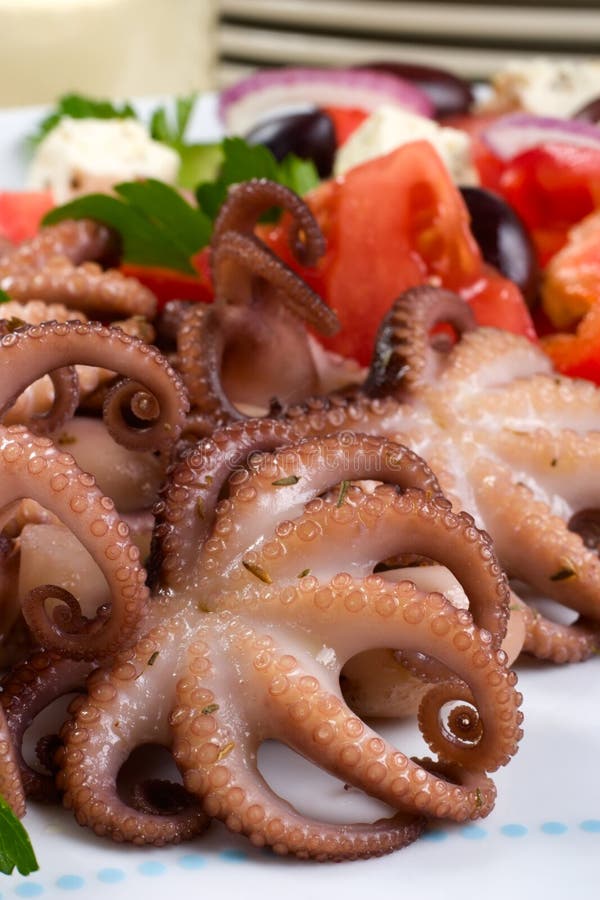 Octopus in red wine stock image. Image of asian, italian - 10670207