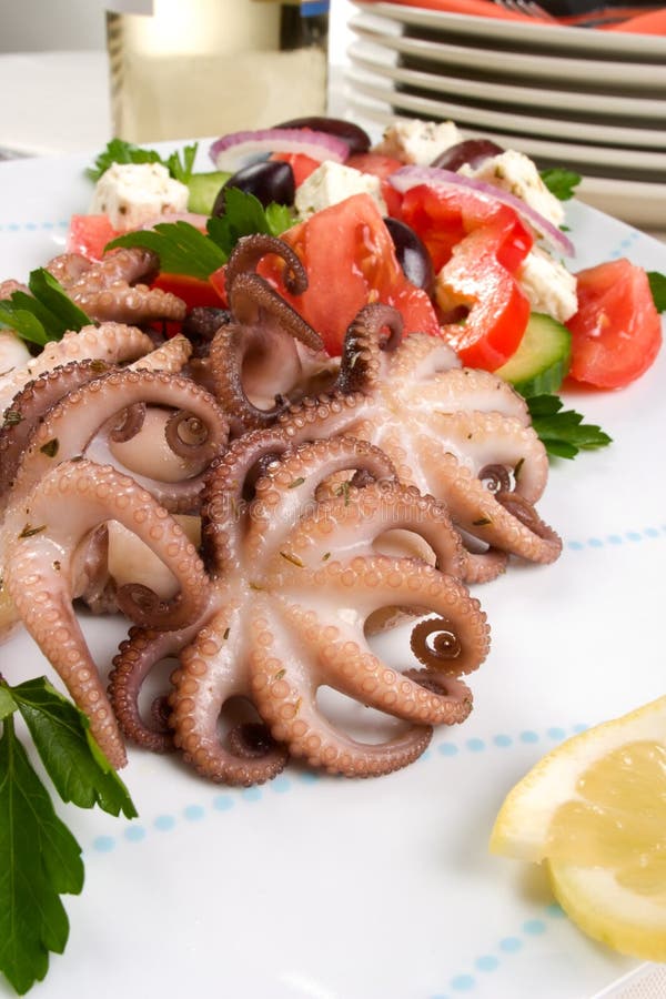 Octopus in red wine stock image. Image of dinner, parsley - 5674823