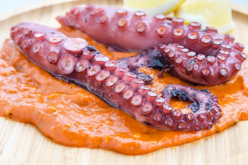 Octopus with romesco sauce stock image. Image of steamed - 248335053