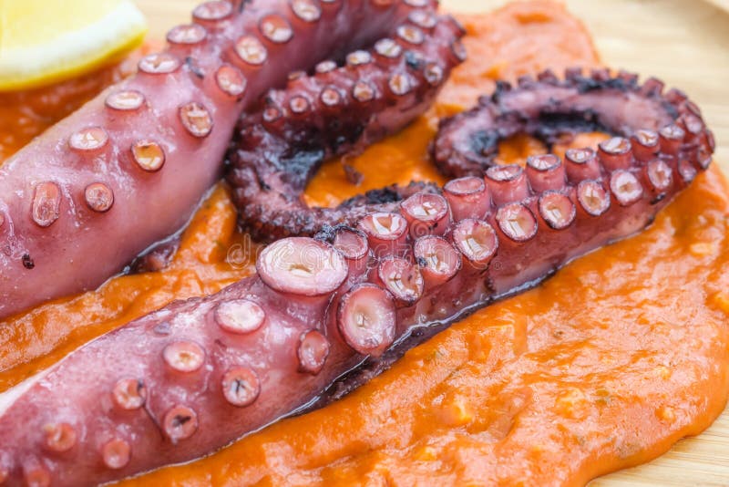 Octopus with romesco sauce stock photo. Image of delicious - 248335058