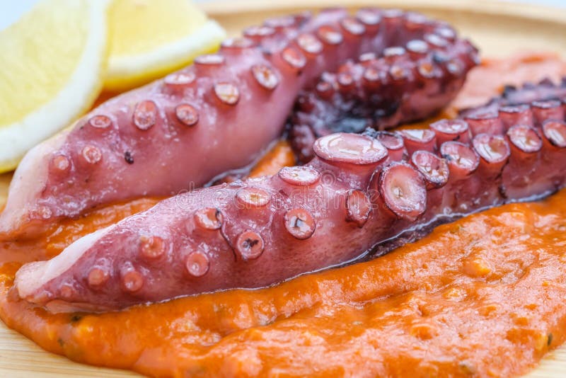 Octopus with romesco sauce stock image. Image of mediterranean - 248335141