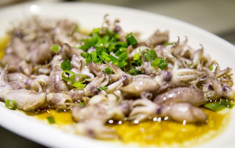 Octopus :sea food stock photo. Image of delicious, appetizer - 69979542