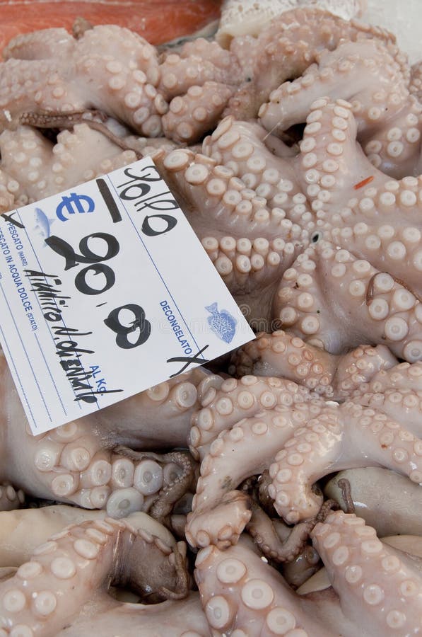 Octopus stock image. Image of market, octopus, sucker - 34858545