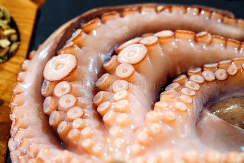 Octopus. Seafood in the Restaurant. Octopus is Prepared in the ...