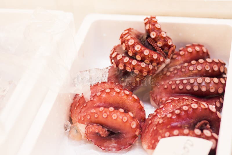 Tentacles of Octopus Japanese in Tokyo Market Stock Photo - Image of ...