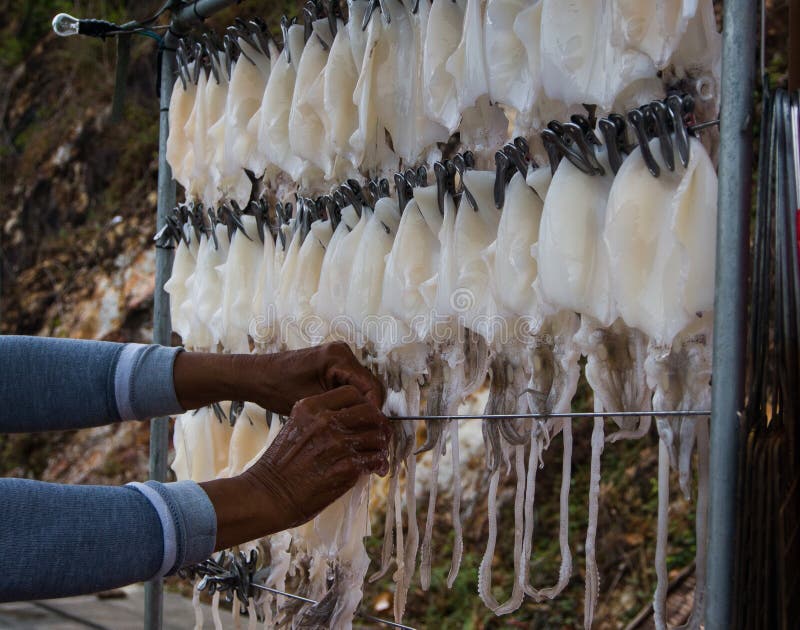 Octopus shop stock photo. Image of roadside, offering - 43212234