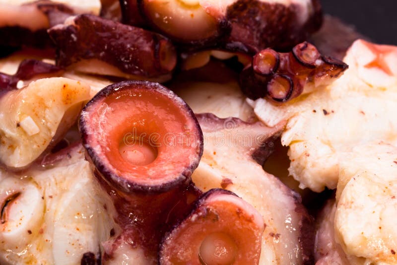 Octopus slices stock image. Image of marine, celebration - 208142051