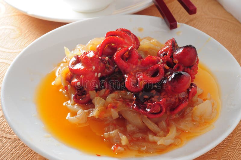 Octopus smoked jelly fish stock photo. Image of chinese - 29266876