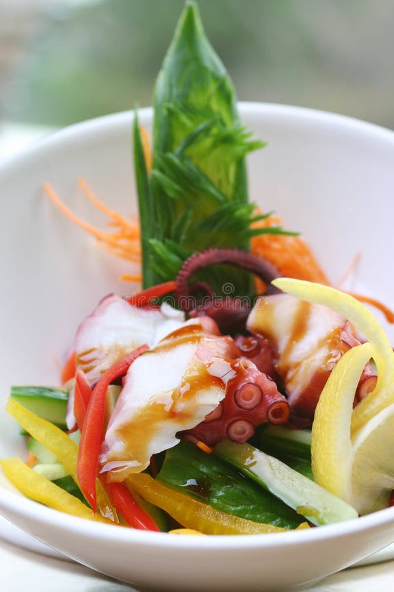 Octopus Sushi stock image. Image of color, chinese, meal - 159077