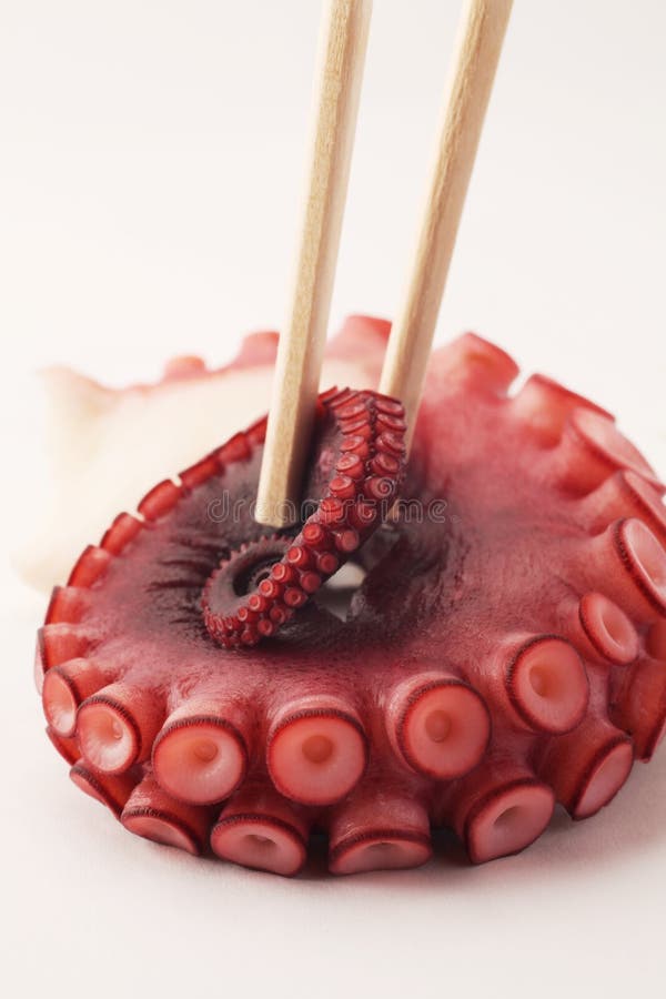 Octopus sushi chopsticks stock photo. Image of animal - 19174160