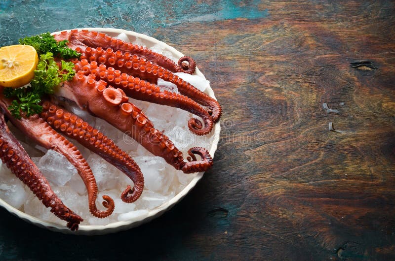 Octopus Tentacles on Ice. Seafood Stock Image - Image of food, frozen ...