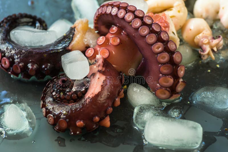 Sepia Cuttlefish and Octopus on Ice. Stock Photo - Image of delicious ...