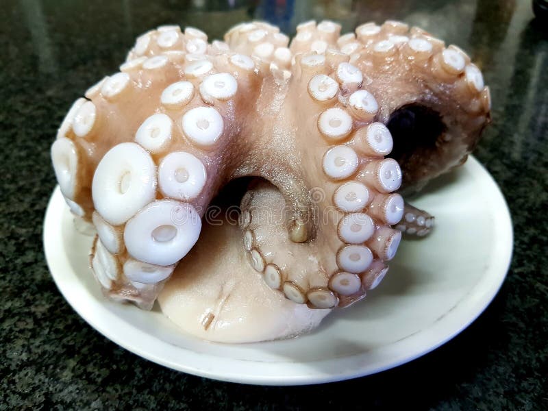 Octopus on a White Plate in a Restaurant Stock Image - Image of nature ...