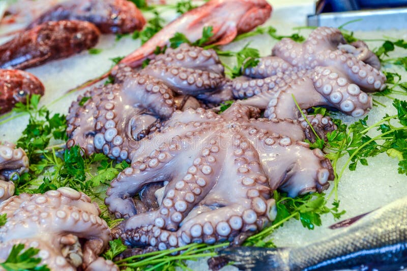 Octopuses on the counter stock image. Image of selling - 179324199