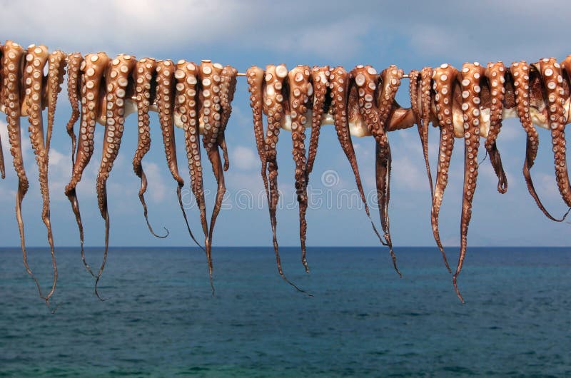 Octopus Drying in Greece Naxos Island Stock Photo - Image of famous ...