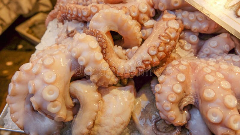 Octopuses in a fish market stock photo. Image of animal - 82556112