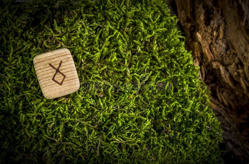 Rune Inverted Algiz Elhaz Carved from Wood Stock Photo - Image of algiz ...