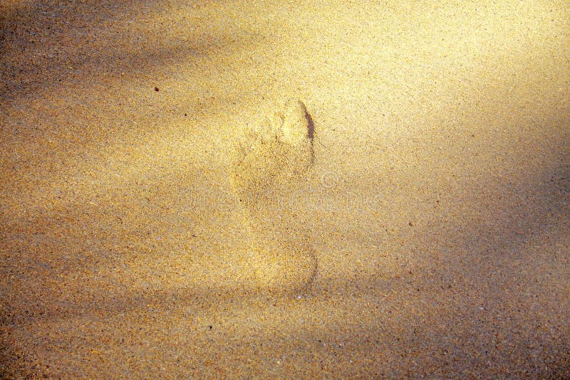 Ślad Stopa Kroki Na Koc śnieg Obraz Stock - Obraz złożonej z plenerowy ...