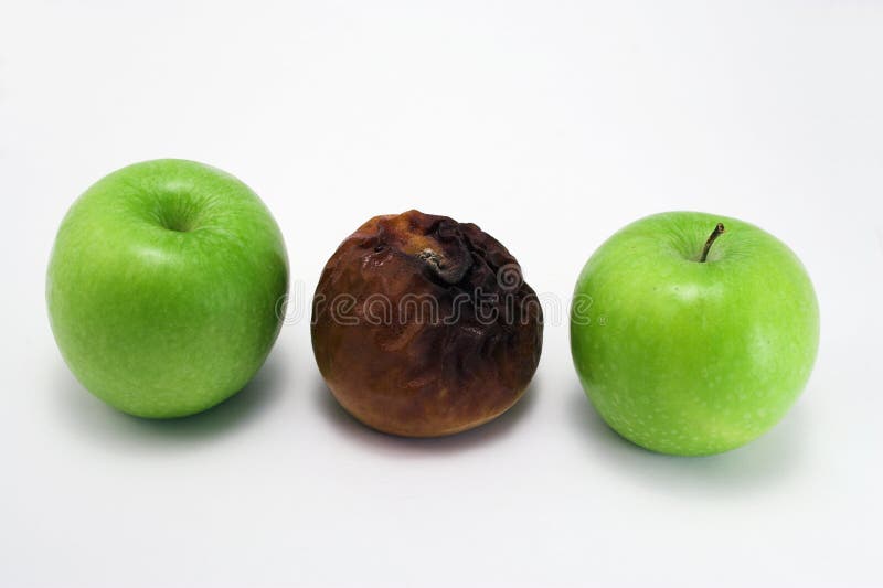 Odd apple stock image. Image of poor, white, nature, rancid - 473907