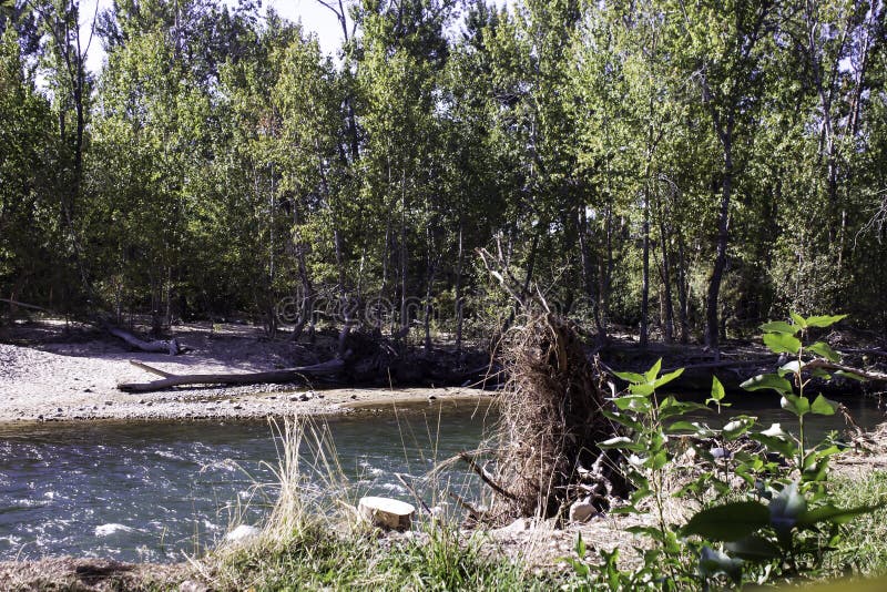 Odd Bush Structure stock image. Image of summer, grass - 127078455