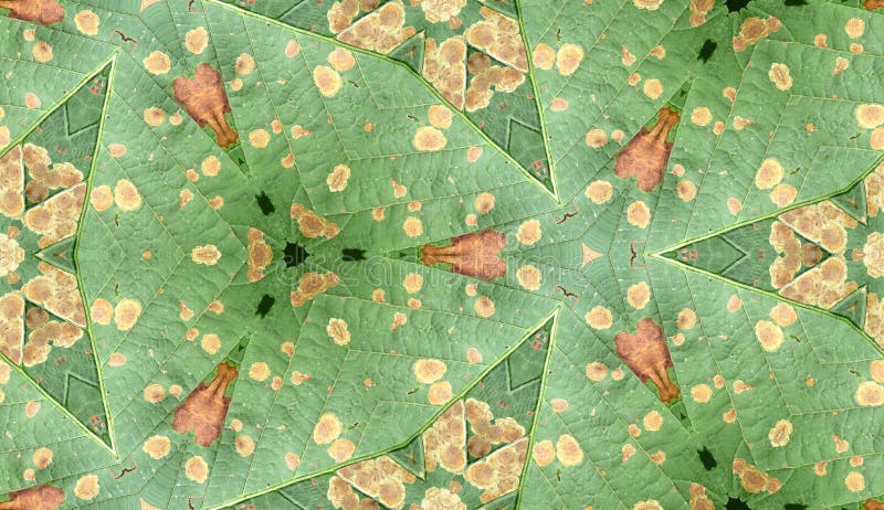 Odd Leaf Pattern Texture 4 stock image. Image of botany - 6361377