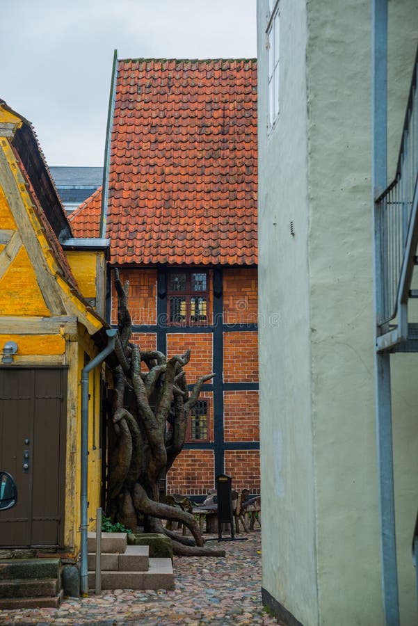Odense, Denmark: Unusual Entrance from the Table and Tree Branches ...