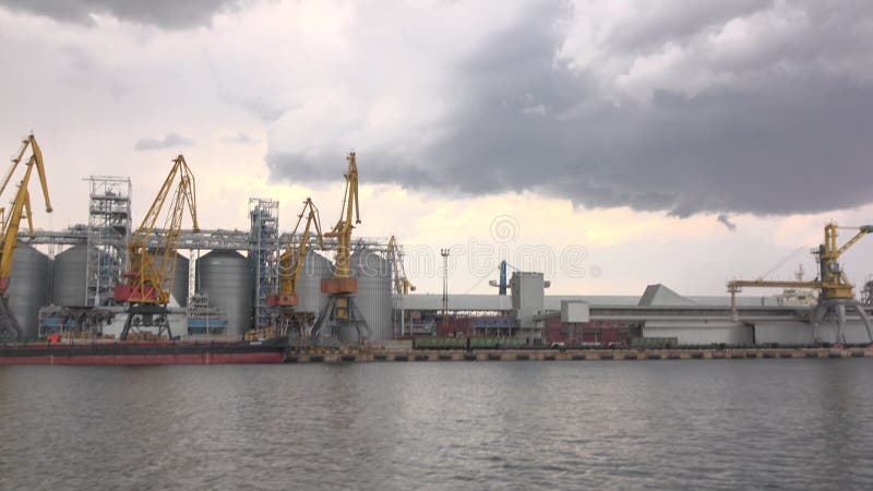 Grain Loading To Bulker Ship Cargo Container at Sea Grain Terminal in ...