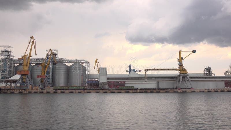 Grain Loading To Bulker Ship Cargo Container at Sea Grain Terminal in ...