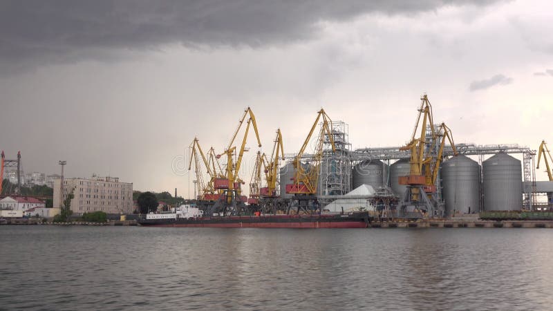 Grain Loading To Bulker Ship Cargo Container at Sea Grain Terminal in ...