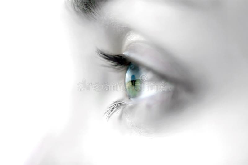 Œil humain de profil photo stock. Image du optique, voyez - 31368986