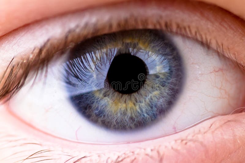 Oeil rouge de sang photo stock. Image of furieux, bizarre - 31582458