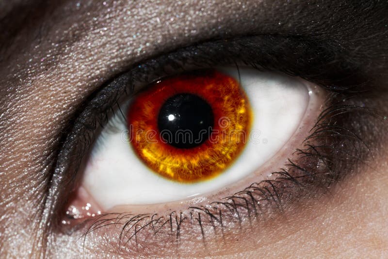 Oeil rouge de sang photo stock. Image of furieux, bizarre - 31582458