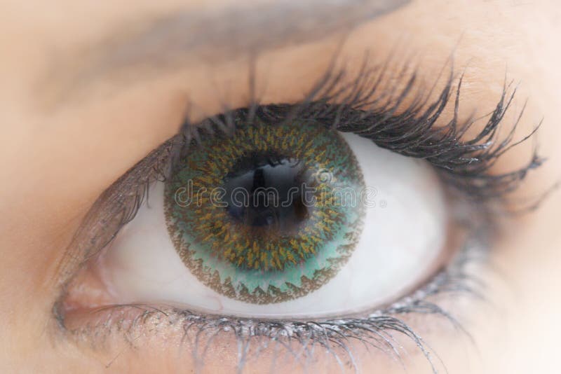 Oeil Avec Le Verre De Contact Image stock - Image du beau, contact: 1525217