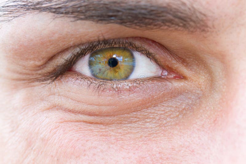 Oeil vert d'homme photo stock. Image du visibilité, facial - 9755426