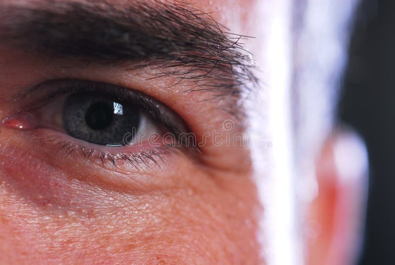 Oeil noisette photo stock. Image du fille, beauté, regarder - 8761958