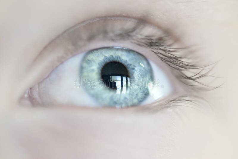 Oeil humain image stock. Image du reflétez, verdâtre - 14997329