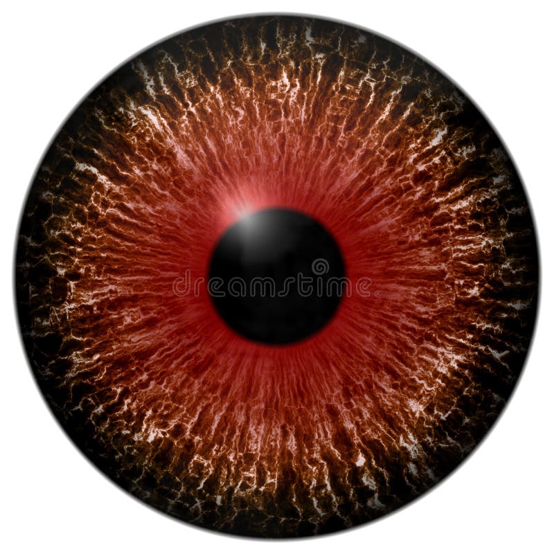Oeil Rouge 3d De Texture Avec Les Lignes Blanches Image stock - Image ...