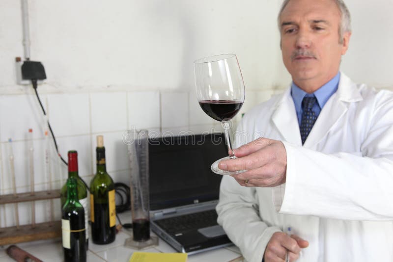 Oenologist Examining Glass of Wine Stock Image - Image of male, testing ...